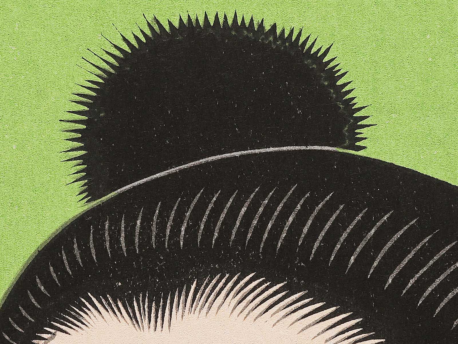 Waka hanada, Taka no hanada / BJ325-885 – NIHONKOSHO